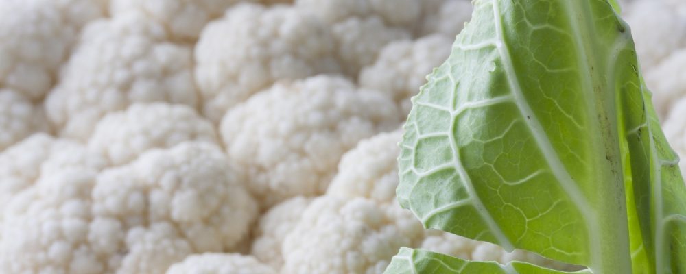 La coliflor, mejor cocida para aprovechar todas sus virtudes - BIRISKA